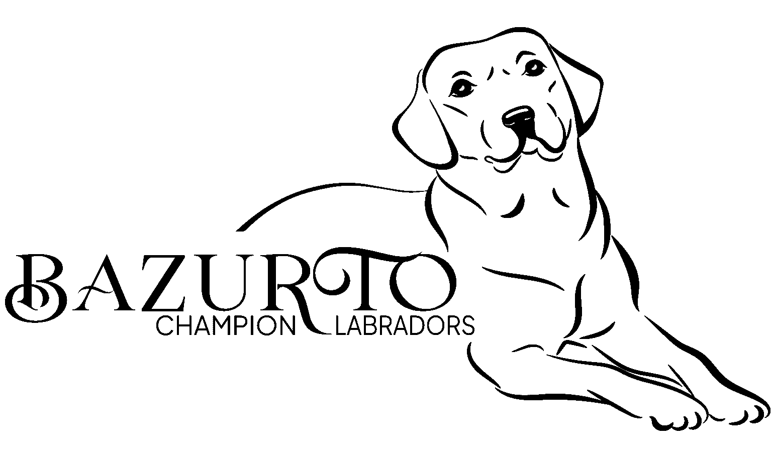 Bay Area Labrador Retriever Kennel Blogs About Dallas Cowboys vs ...