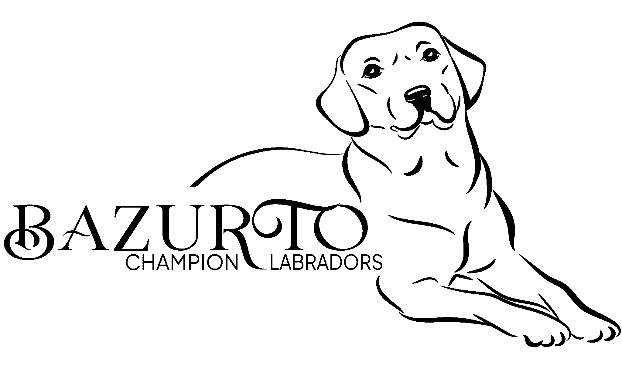 Bay Area Labrador Retriever Kennel Blogs About Dallas Cowboys vs ...